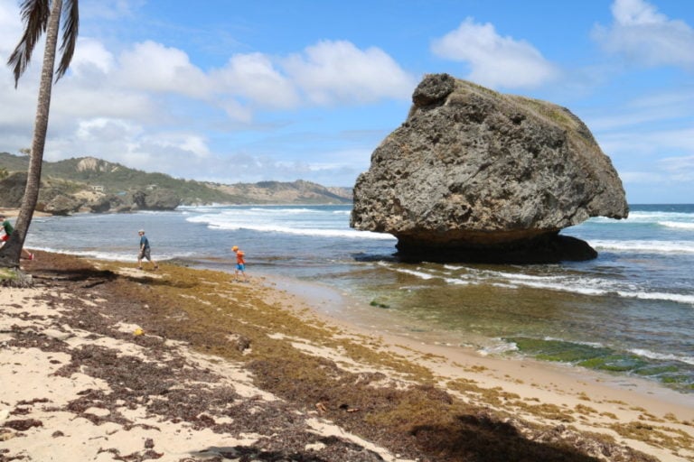Experience a Fantastic Barbados Excursion You'll Never Forget!