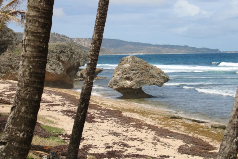 Experience a Fantastic Barbados Excursion You'll Never Forget!