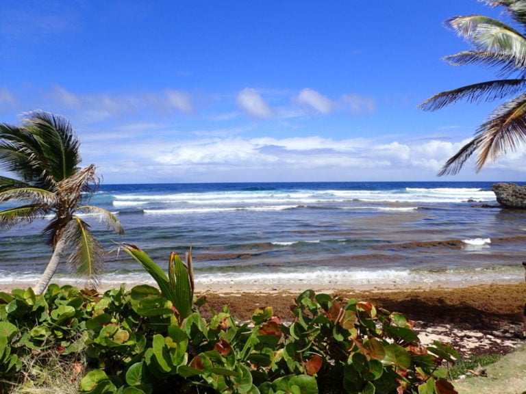 Pictures of Barbados That Will Inspire You! - Sunsets and Roller Coasters