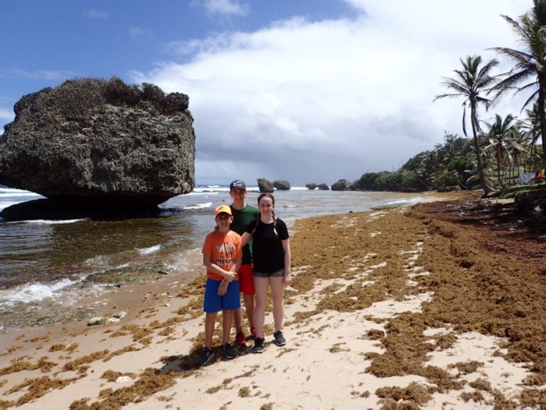 Experience a Fantastic Barbados Excursion You'll Never Forget!