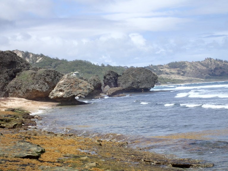 Experience a Fantastic Barbados Excursion You'll Never Forget!