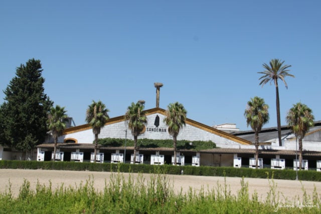 Family Holidays in Spain with kids? You Need this Amazing Spain itinerary!